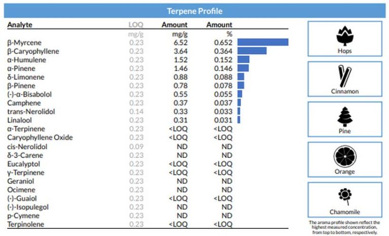 Shop High CBD & High CBG Hemp Strains | Bulk Hemp Seeds for Sale