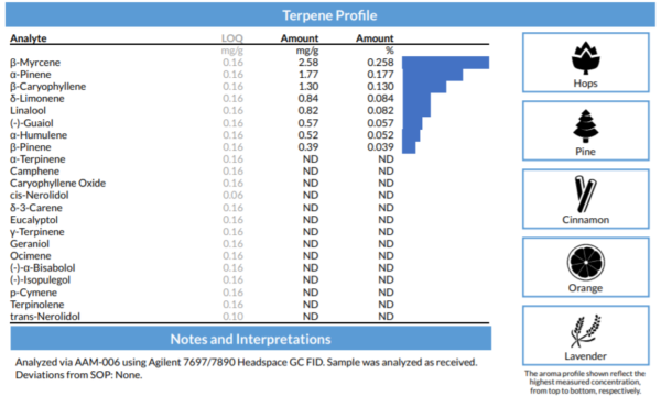 Shop High CBD & High CBG Hemp Strains | Bulk Hemp Seeds for Sale