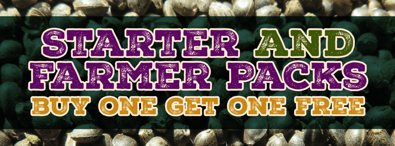 Shop High CBD & High CBG Hemp Strains | Bulk Hemp Seeds for Sale