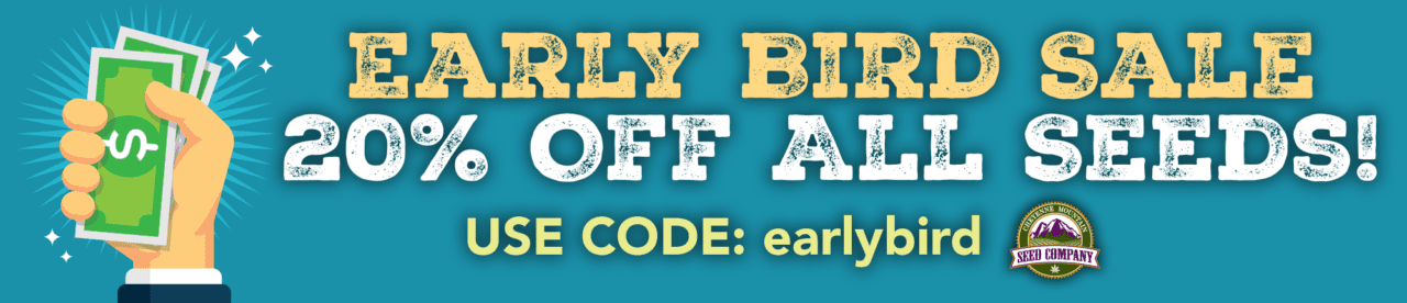 Shop High CBD & High CBG Hemp Strains | Bulk Hemp Seeds for Sale